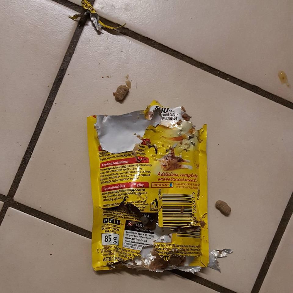 Ten Things I Hate About “You” - Sparkle Ellie