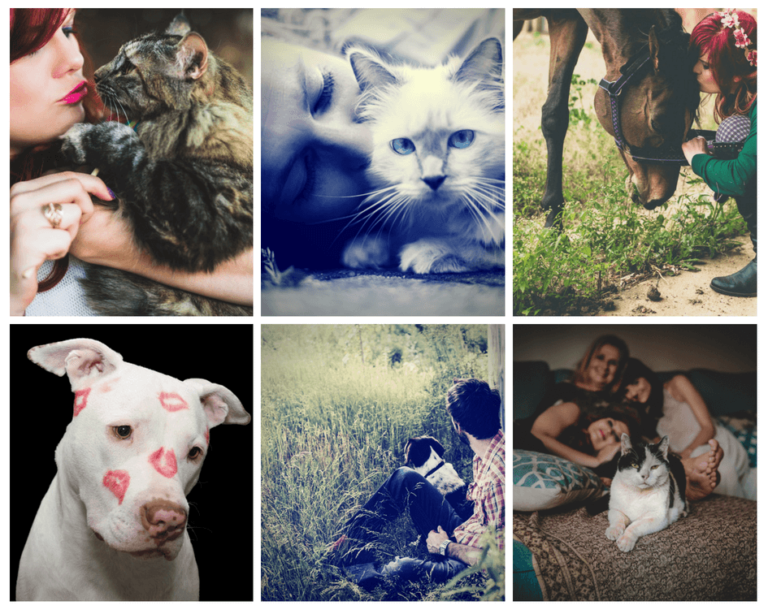 5 Types of Fur Parents - Sparkle Ellie